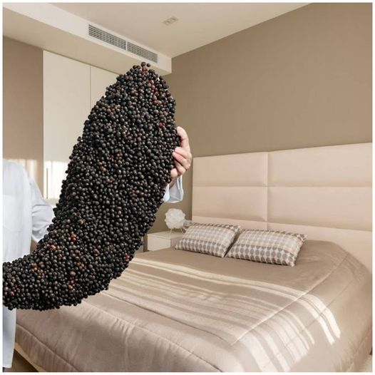 Black Pepper Under Your Bed: A Tradition Worth Exploring – Araabe Black Pepper Under Your Bed: A Tradition Worth Exploring – Araabe